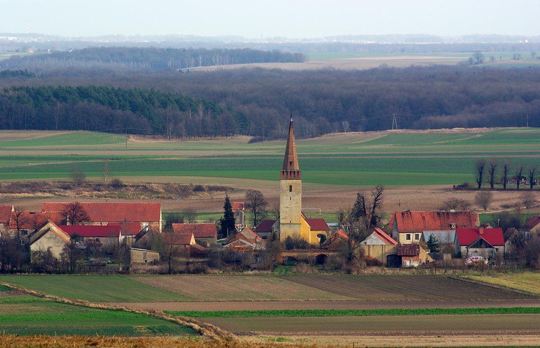 Buków - Historia
